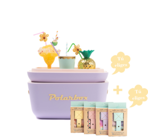 1 Polarbox 13Qts Pop+ 1 PrinkStyle Leather - Retro coolers